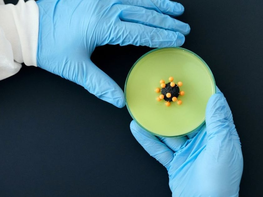 Bryan Chai, Author at Patriot Project